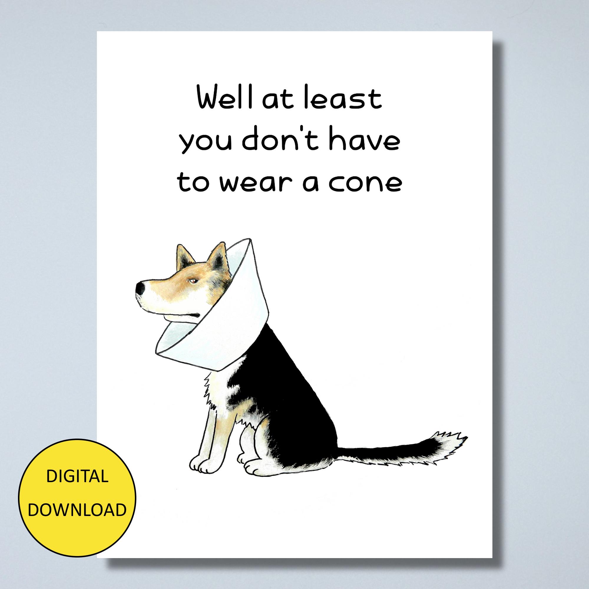 Funny Dog Get Well Card – INSTANT DOWNLOAD – Printable Card – at Least ...
