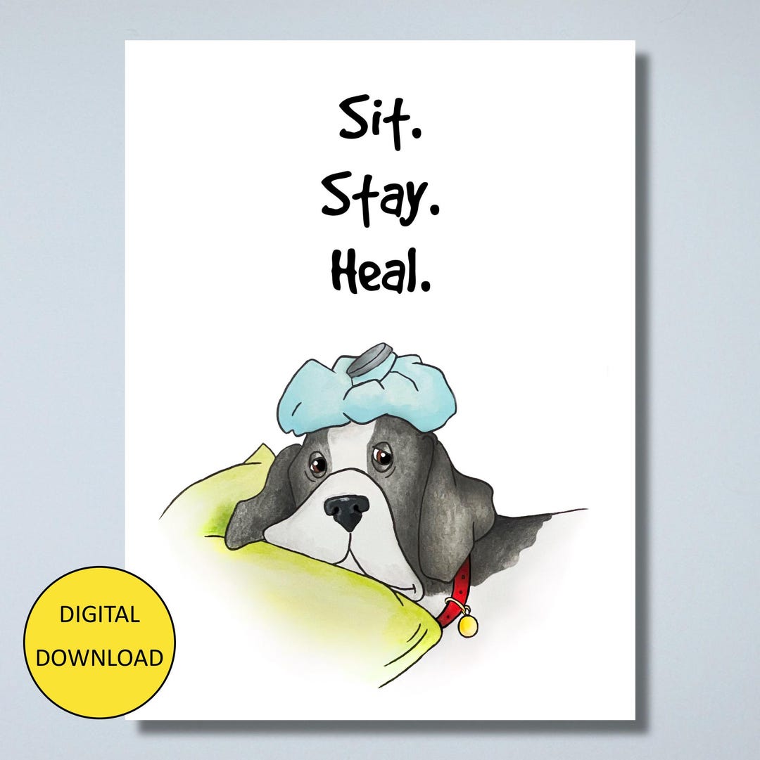 Funny Dog Get Well Card – INSTANT DOWNLOAD – Printable Card – Sit! Stay ...