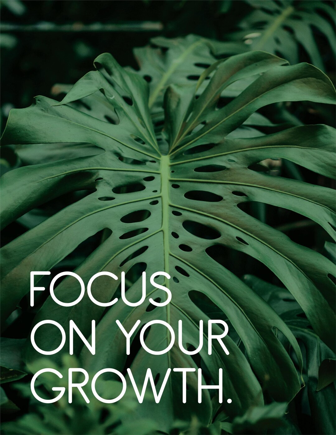 Digital Motivational Plant Wall Art, Positive Affirmations, Bird of ...