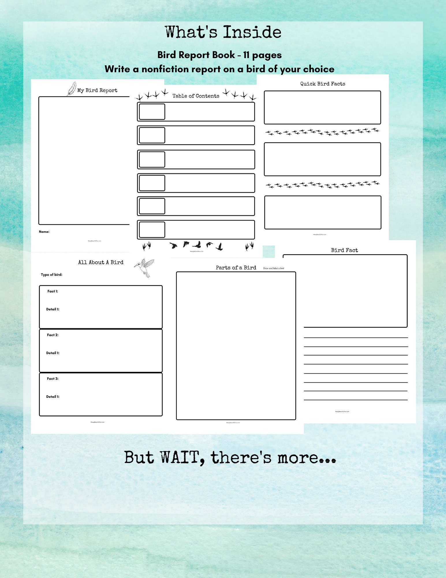 Urban Birds Unbit Study for Homeschool and Classroom Digital Printable ...