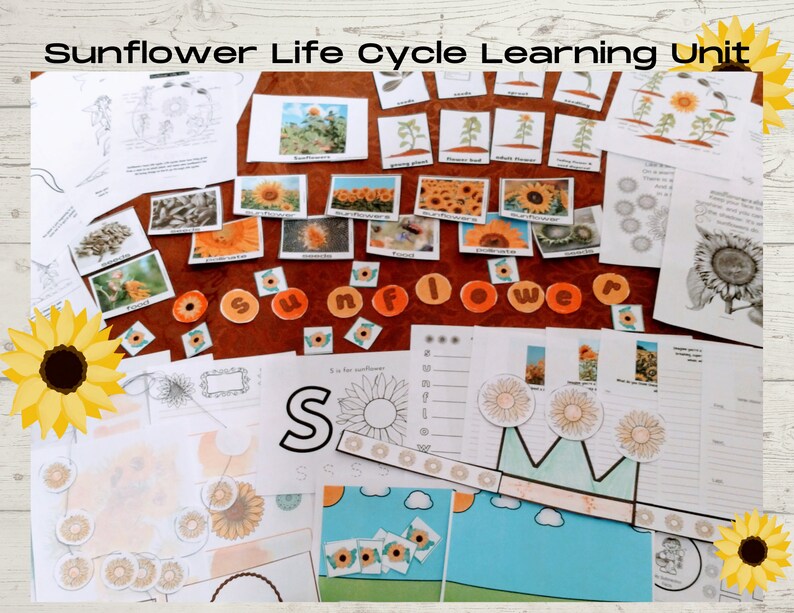 Sunflower Printable Learning Unit Science Writing Math Poetry More ...