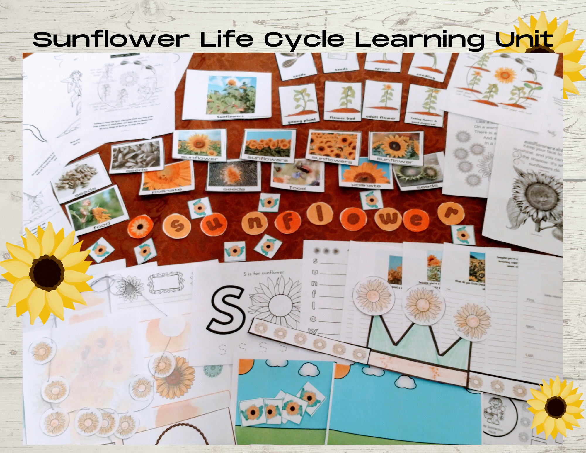 Sunflower Printable Learning Unit Science Writing Math Poetry More ...