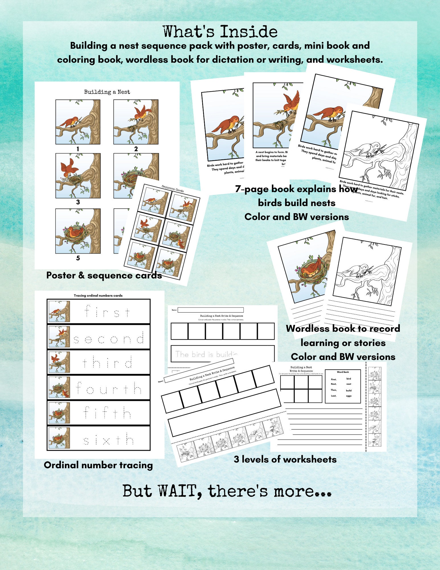 Urban Birds Unbit Study for Homeschool and Classroom Digital Printable ...