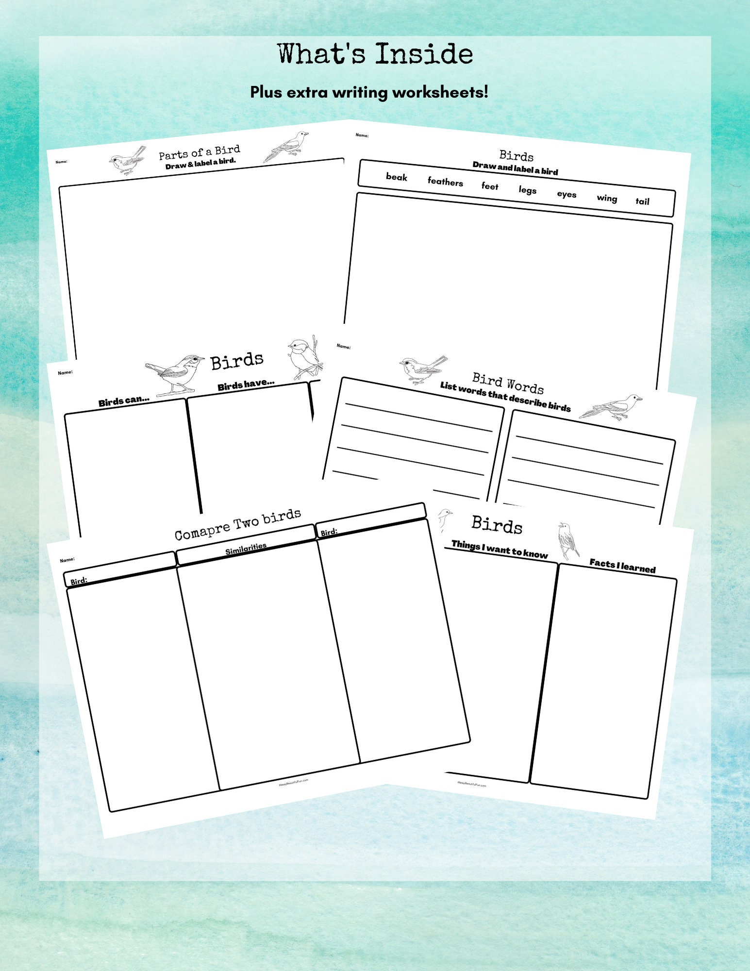 Urban Birds Unbit Study for Homeschool and Classroom Digital Printable ...