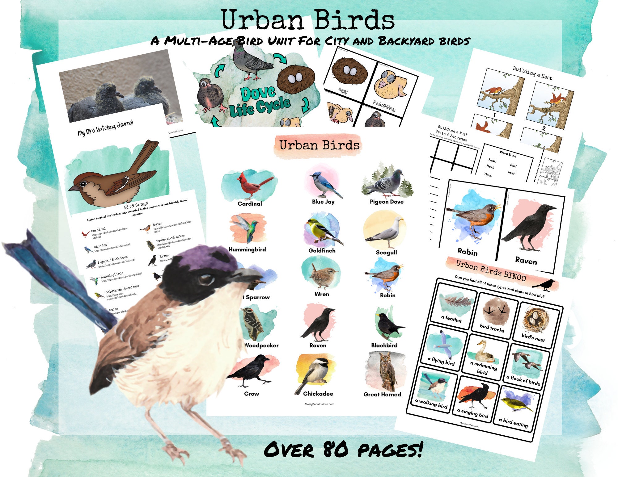 Urban Birds Unbit Study for Homeschool and Classroom Digital Printable ...