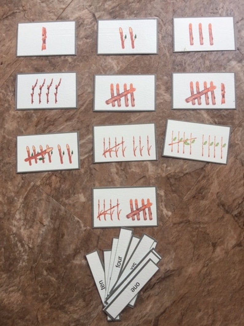 Montessori Tally Marks: Counting With Twigs, English/french/spanish - Etsy