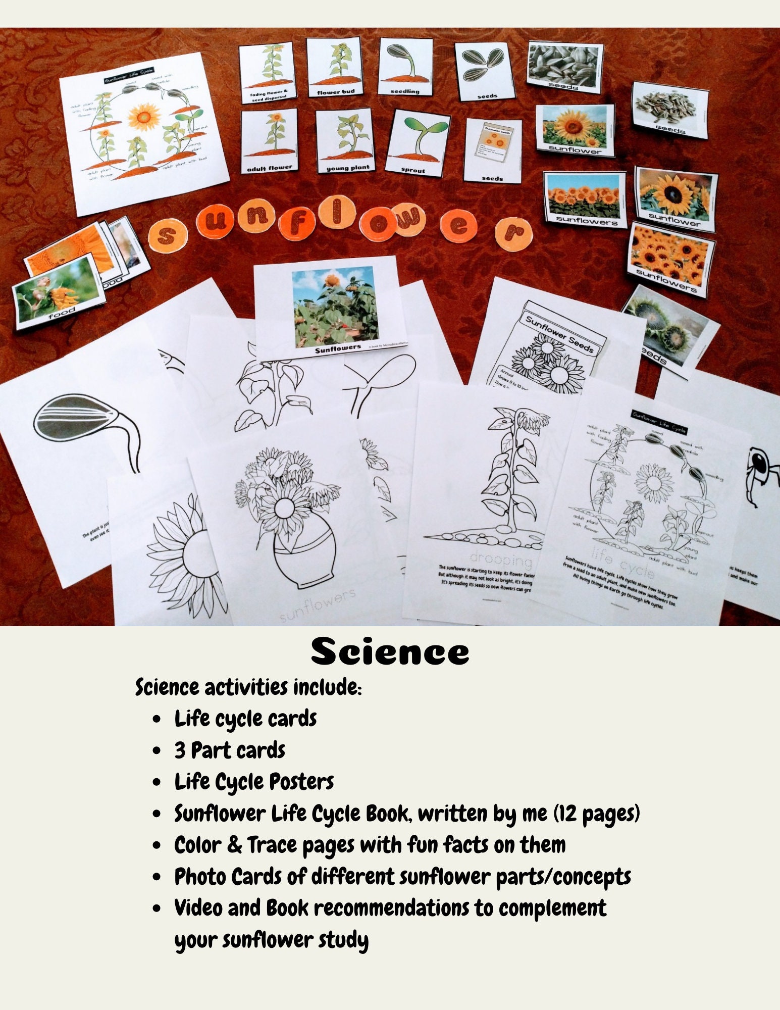 Sunflower Printable Learning Unit Science Writing Math Poetry | Etsy