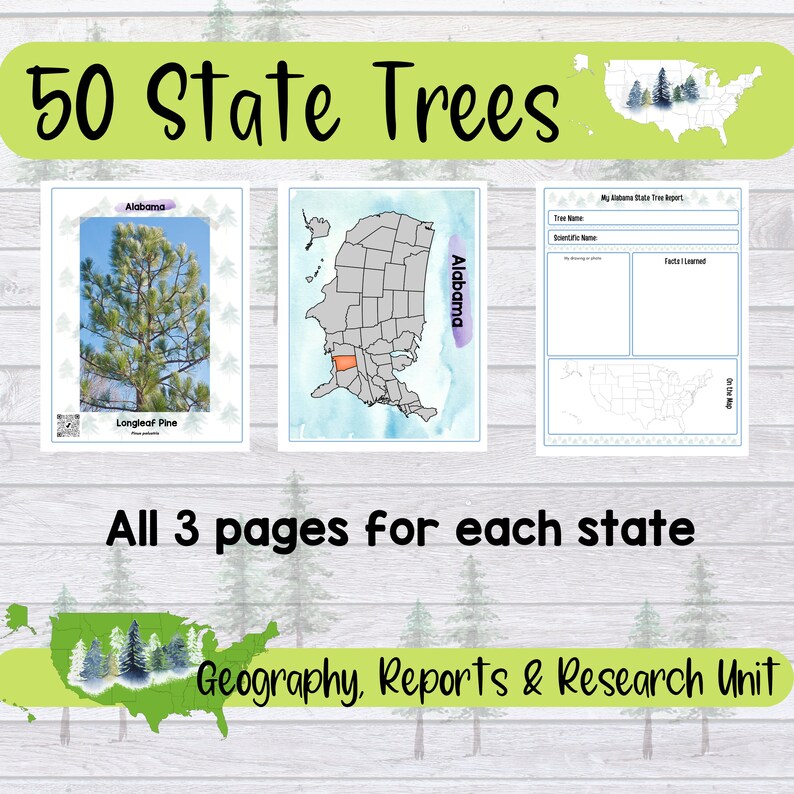 50 States Trees Reports and Learning Guide Printable With QR Codes for ...