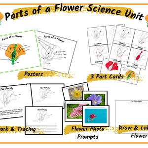 Parts of a Flower Science Printable Set for Homeschool Learning and ...