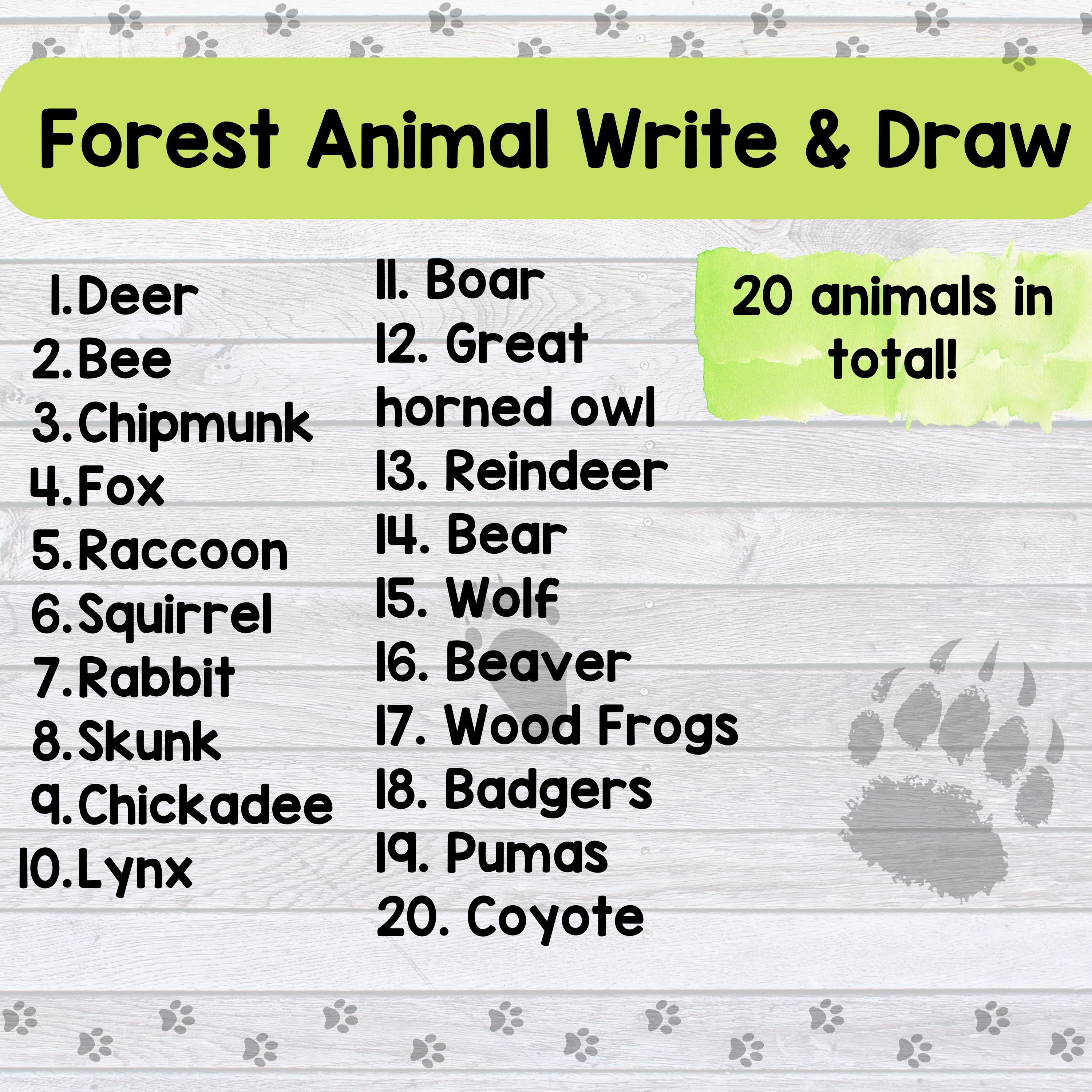 20 Forest Animal Draw and Report Pages With Copywork, Fun Facts ...