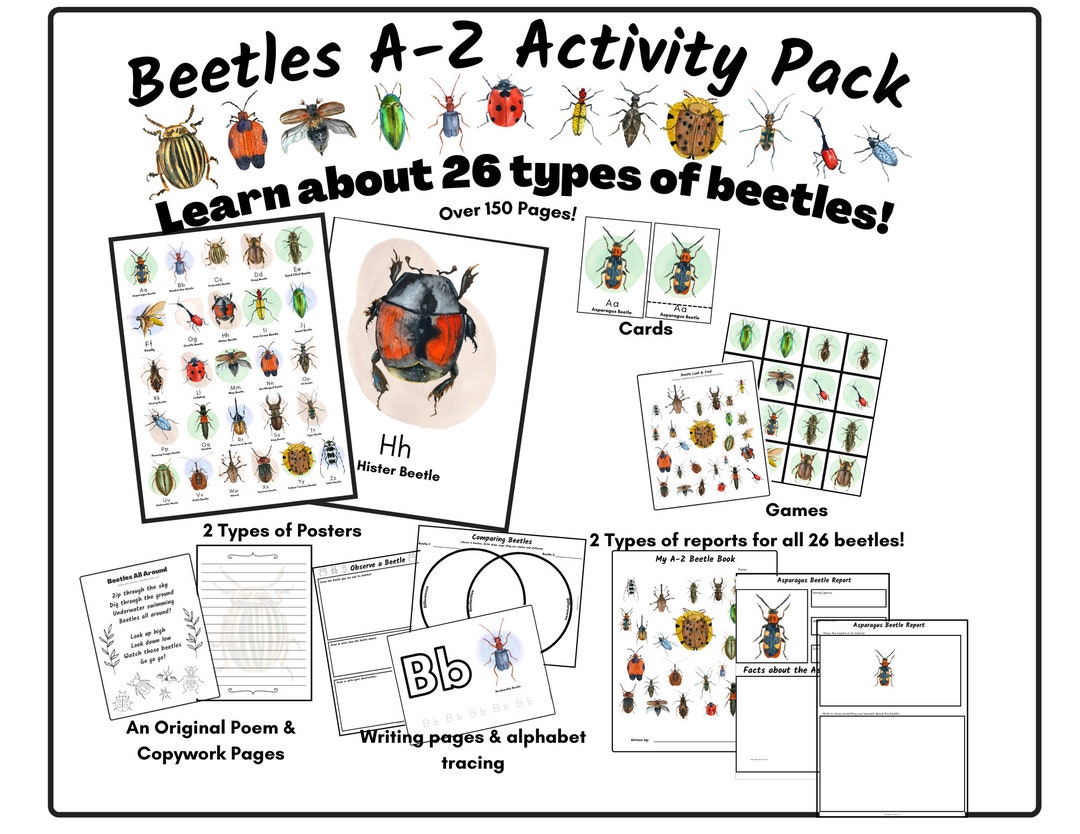 Beetles A-Z Science Printable Learning Pack for All Ages Curriculum - Etsy