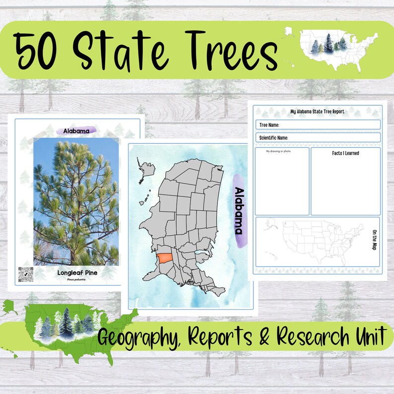 50 States Trees Reports and Learning Guide Printable With QR Codes for ...