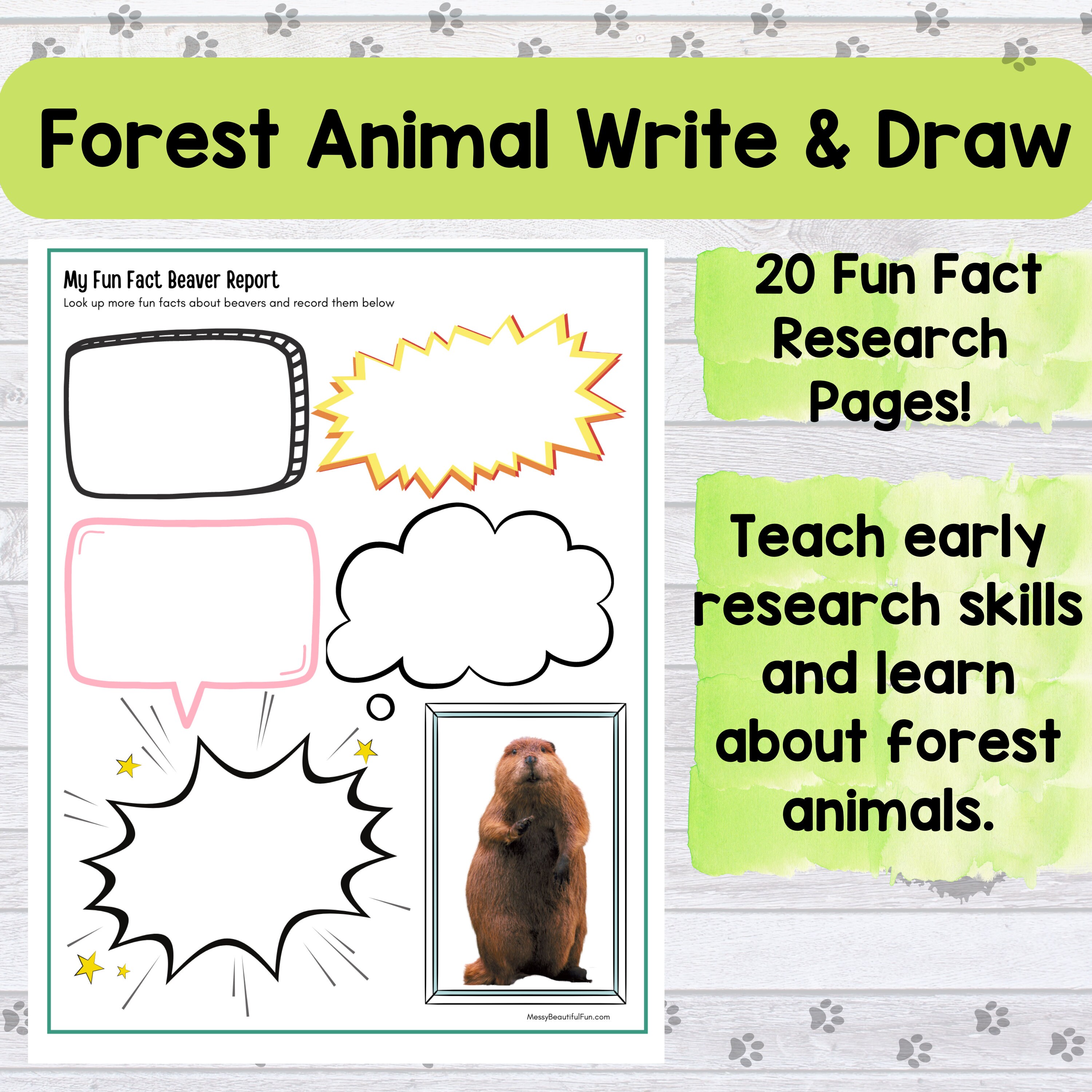 20 Forest Animal Draw and Report Pages With Copywork, Fun Facts ...