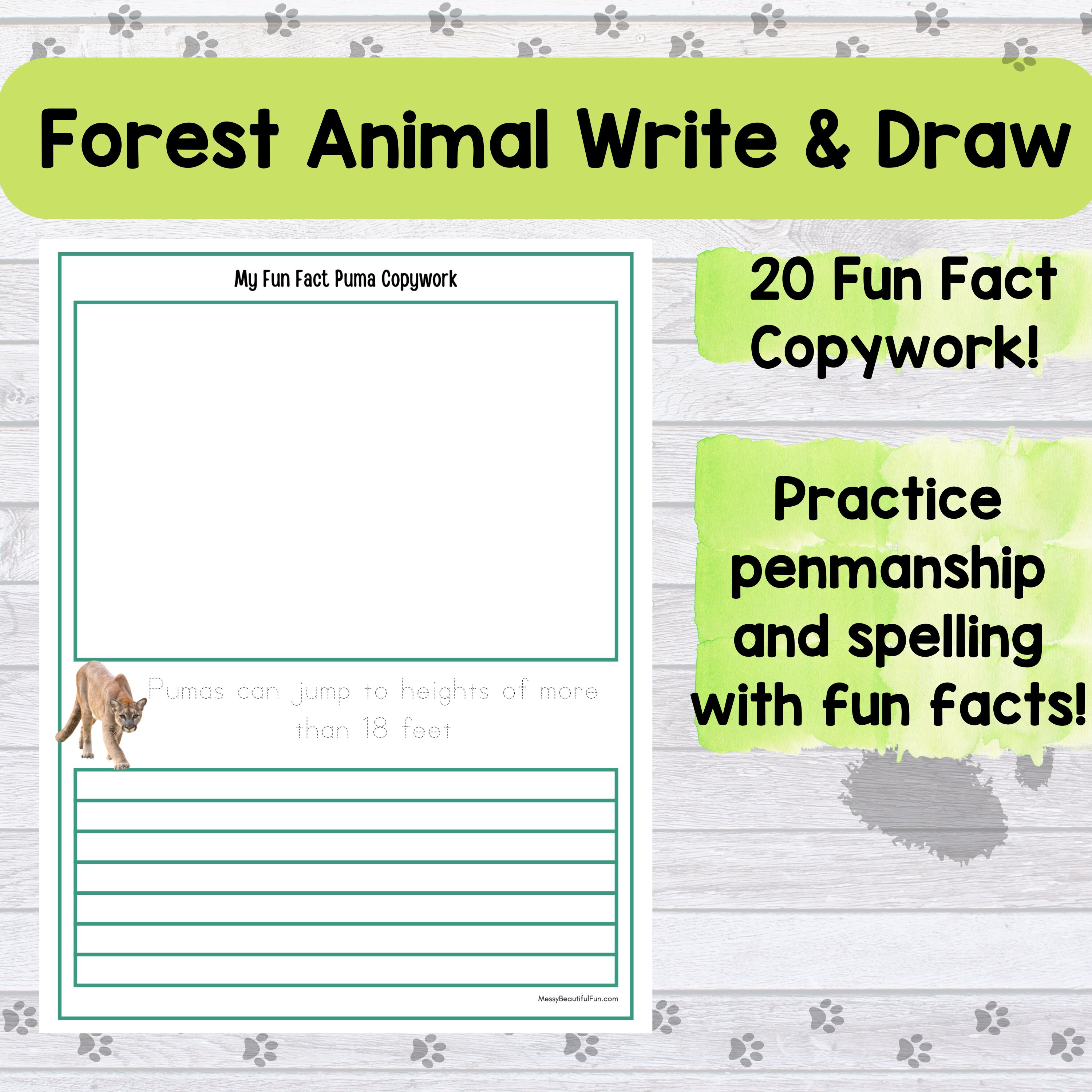 20 Forest Animal Draw and Report Pages With Copywork, Fun Facts ...