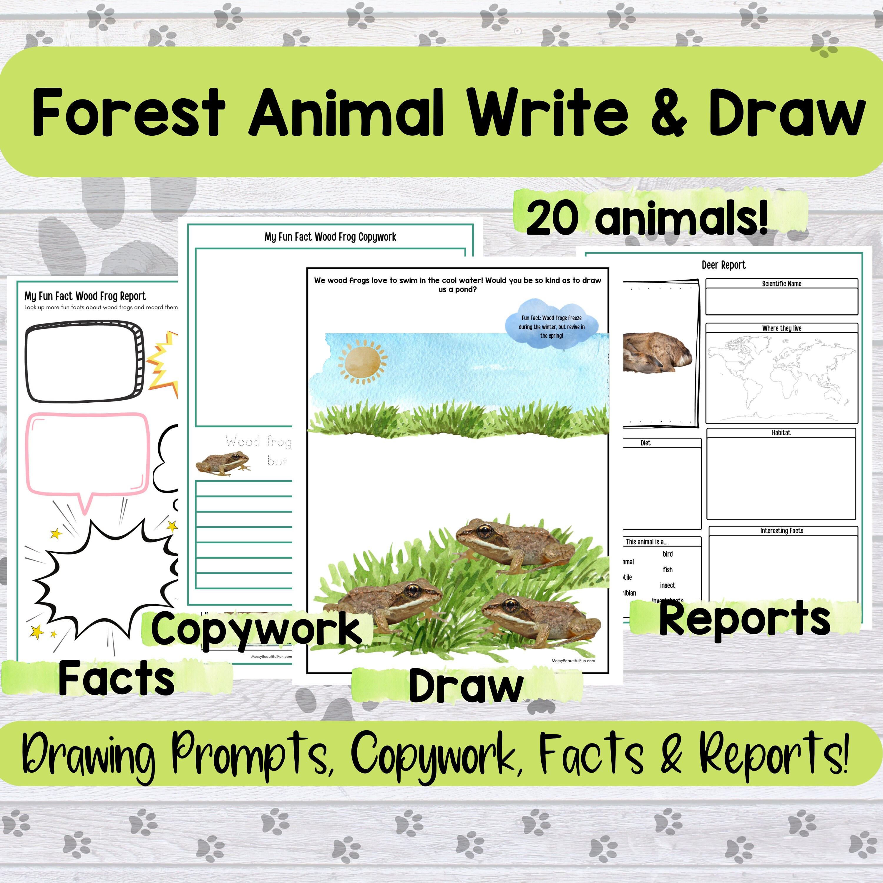 20 Forest Animal Draw and Report Pages - With Copywork, Fun Facts ...