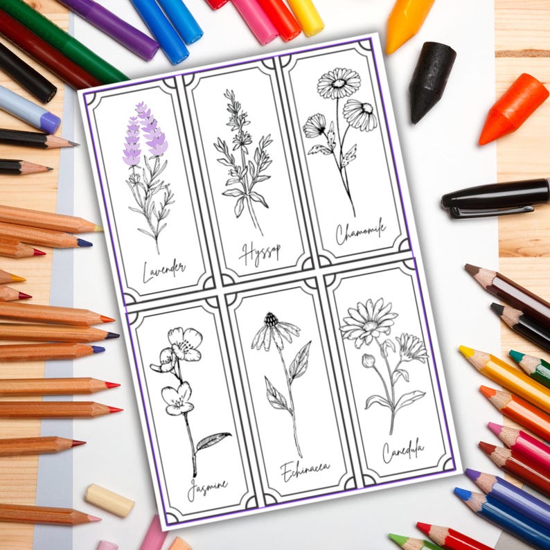 Adult Coloring Herbal Flower Bookmarks Tea Botanical Illustrations ...