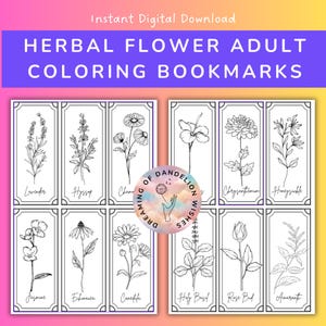 Adult Coloring Herbal Flower Bookmarks Tea Botanical Illustrations ...