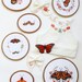 Papillon Hand Embroidery PDF Pattern, Featuring Multiple Butterfly and ...