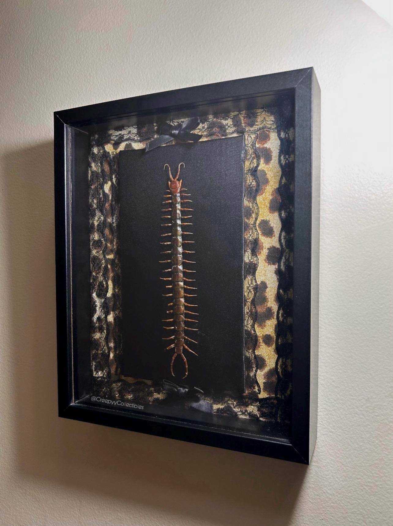 Centipede Shadow Box Frame - Etsy