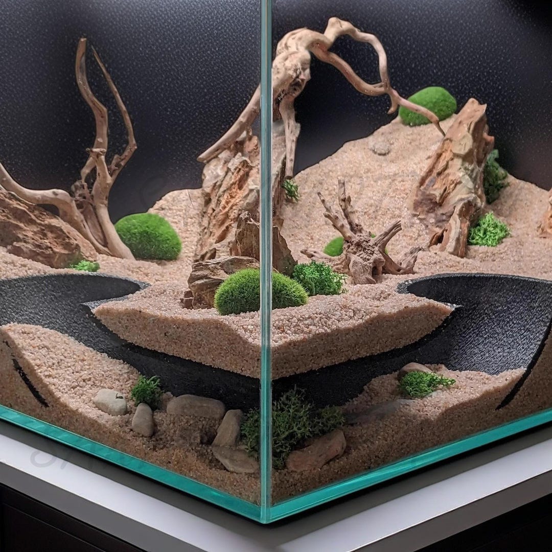 Landscaping Habitat Channel, Reptile Obstacle Avoidance Underground ...