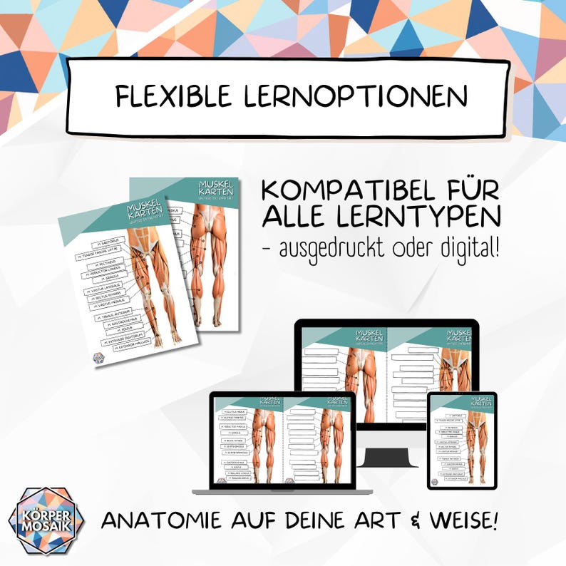 Anatomy Flashcards | Muscles of the Lower Extremities - With & Without ...