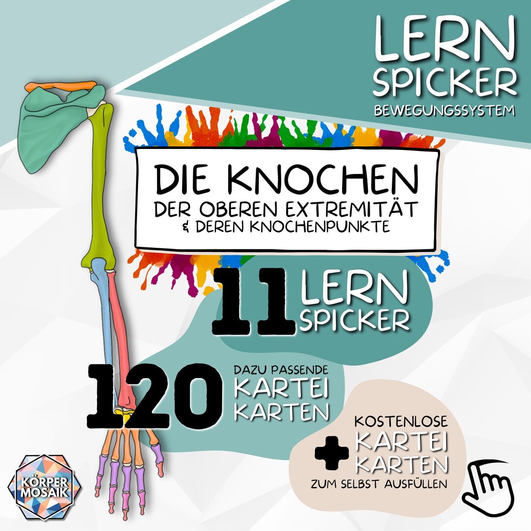 Colorful Anatomy Learning Cheat Sheet "bones of the Upper Extremity ...