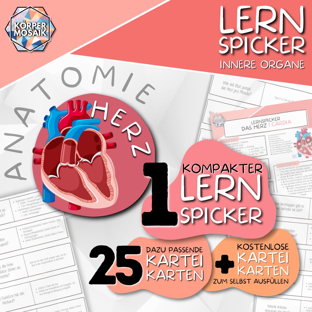 Anatomy Learning Cheat Sheet "heart" | Compact Cheat Sheet + Flashcards ...