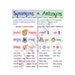 Synonyms and Antonyms Anchor Chart With Lamination, Classroom Reading ...