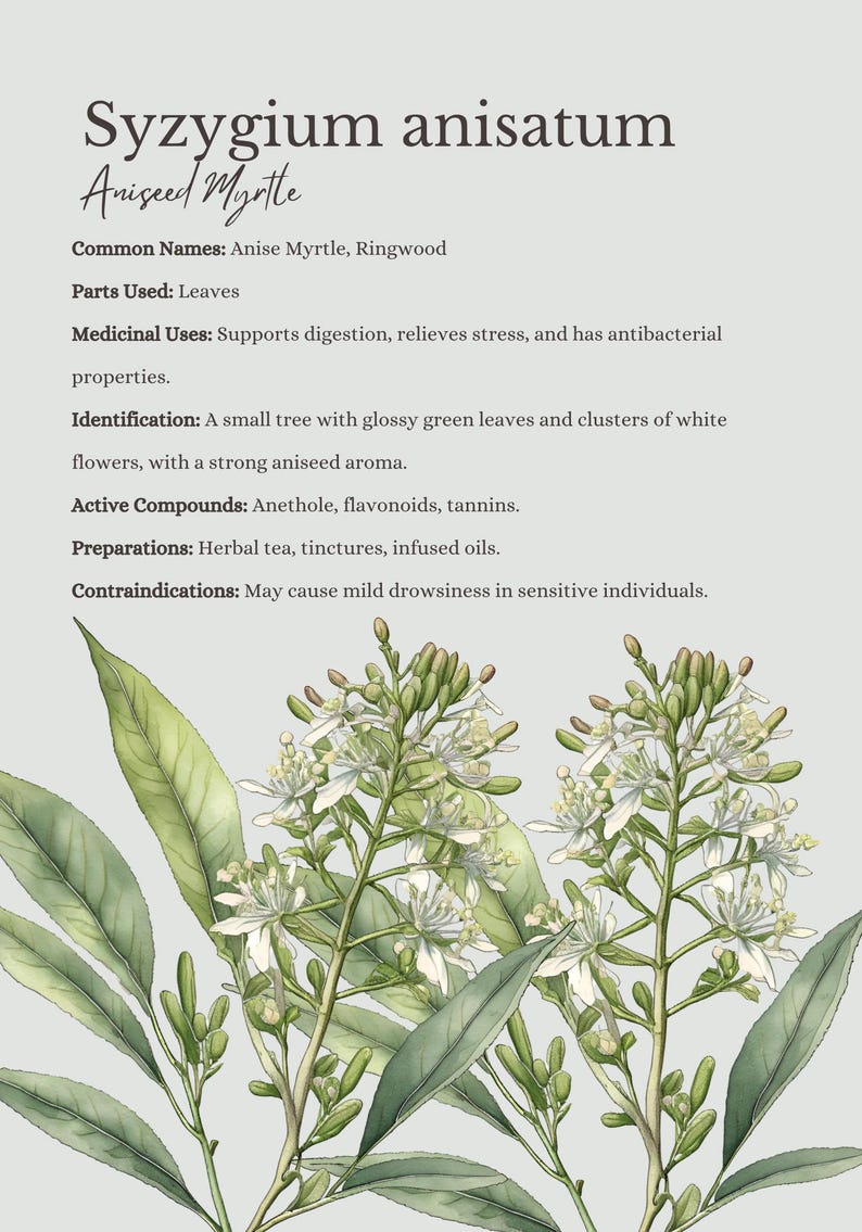 HERBAL MONOGRAPH SERIES: Australian Native Medicinal Plants (vol 2) - Etsy