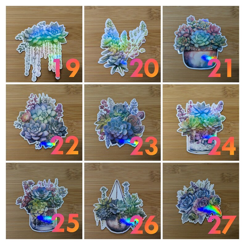 Succulent Stickers, Succulent Sticker Bundle, Water Bottle Sticker ...