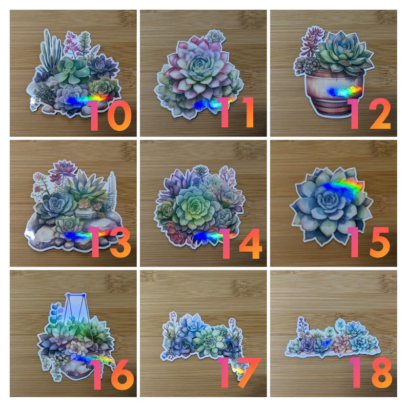 Succulent Stickers, Succulent Sticker Bundle, Water Bottle Sticker ...
