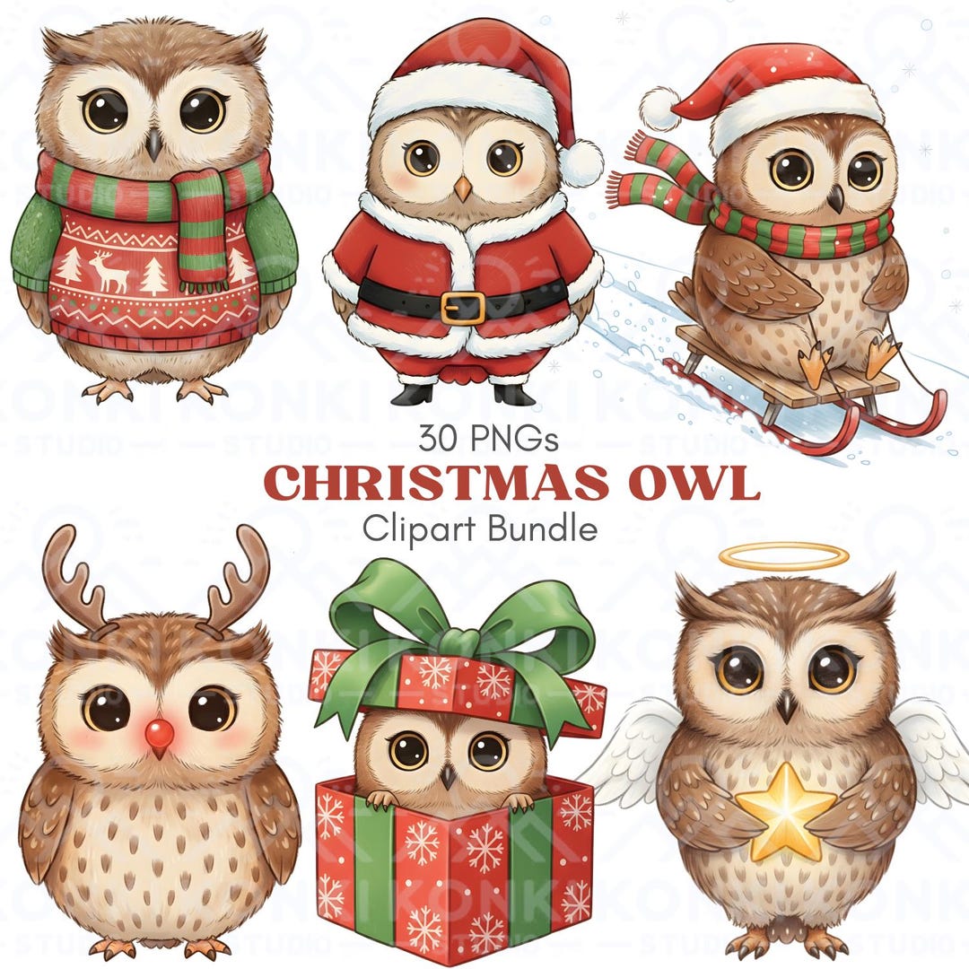 Christmas Owl Clipart Bundle – 30 PNG Vintage Transparent Festive ...