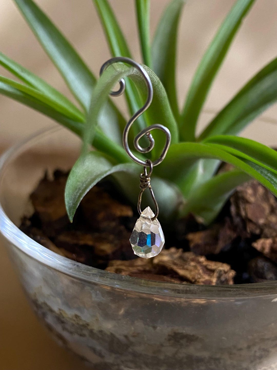 Plant Jewelry: Crystal Sparkles for Our Favorite Plant Companions ...