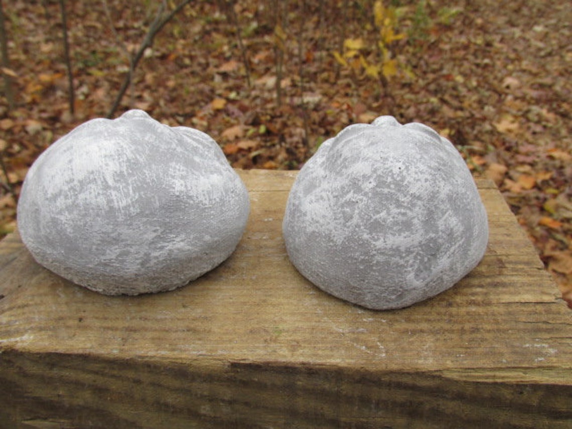 3 1/2 Long Cement Round Face Head Lot of 2 Garden Art - Etsy