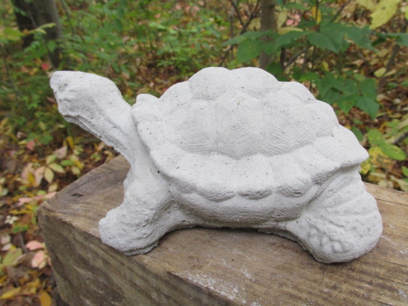 8 Cement Turtle Garden Art Statue Concrete Lawn | Etsy