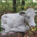 18 Cement Resting Cow Garden Art Concrete Statue Very - Etsy