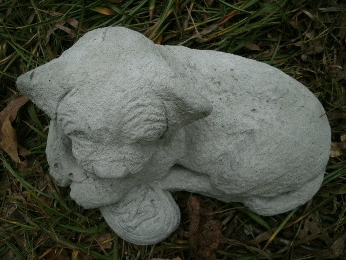 Cemento 10 1/2 perro cachorro de larga duración con | Etsy