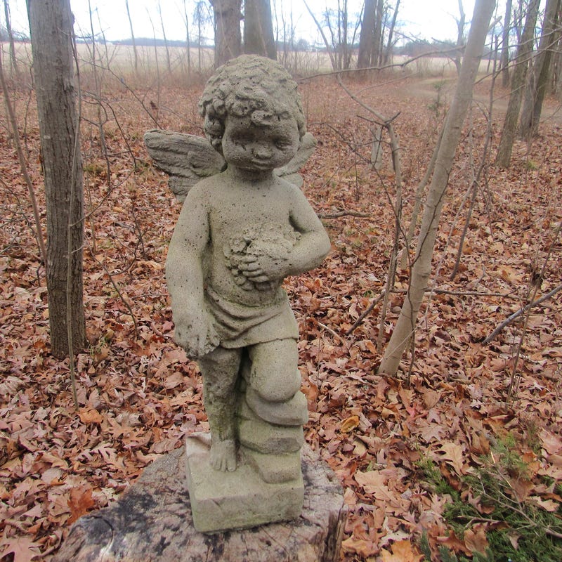 Angel Boy Garden - Etsy