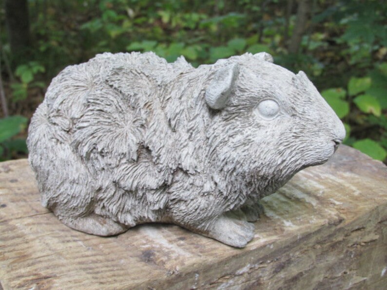 6 1/2 Long Cement Guinea Pig Garden Art Statue Concrete | Etsy