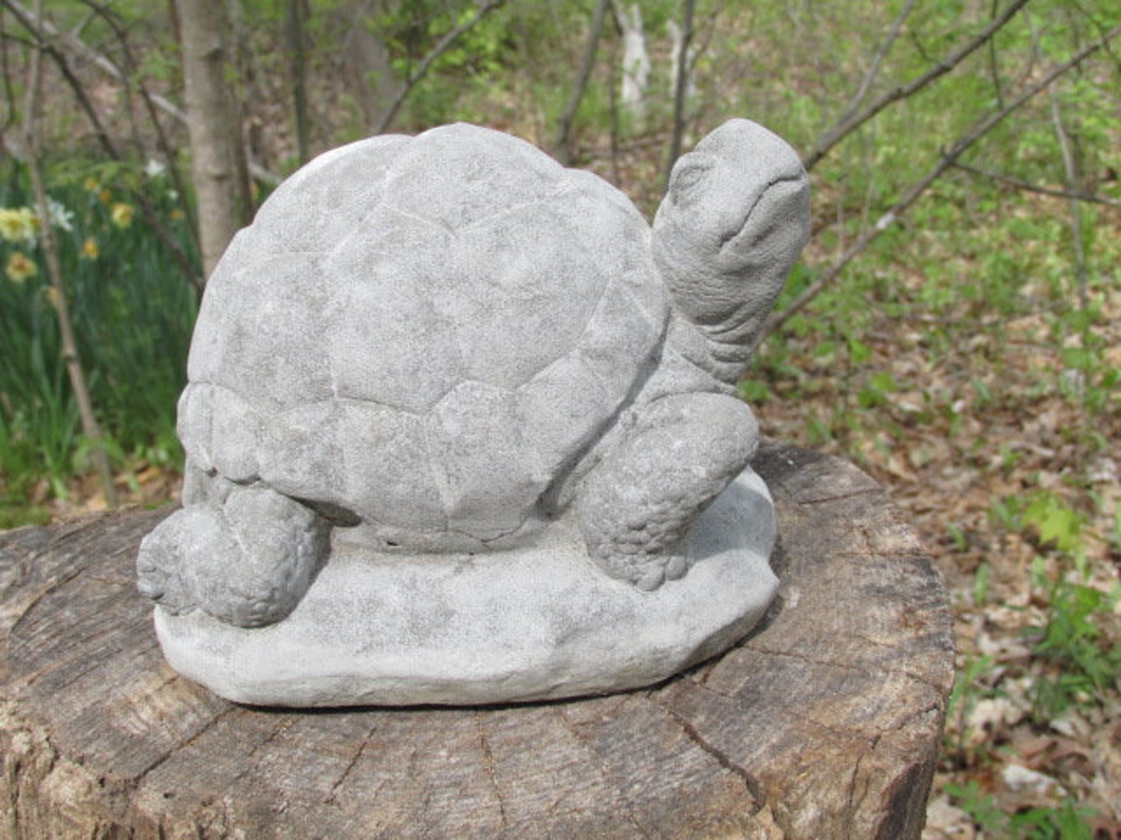 7 Long Cement Turtle Garden Art Concrete Statue Lawn | Etsy