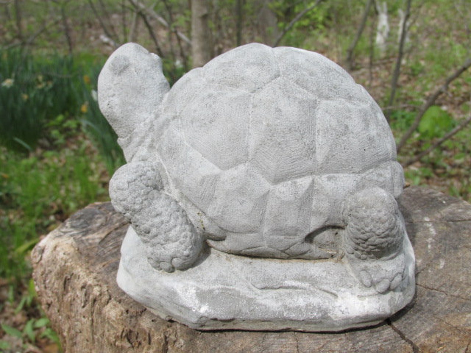 7 Long Cement Turtle Garden Art Concrete Statue Lawn | Etsy