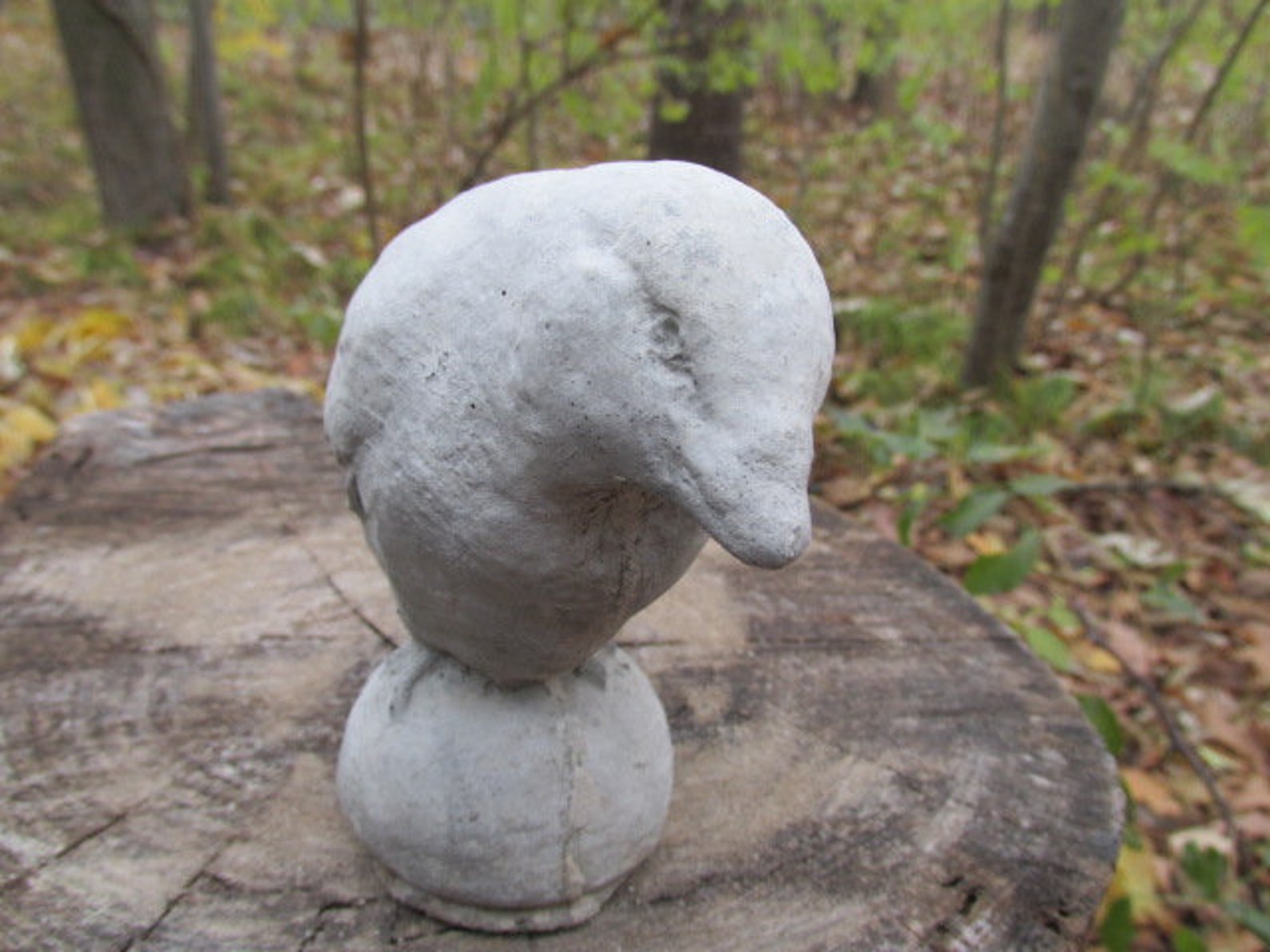 Small 4 1/2 Tall Cement Baby Crow Raven Bird Concrete - Etsy