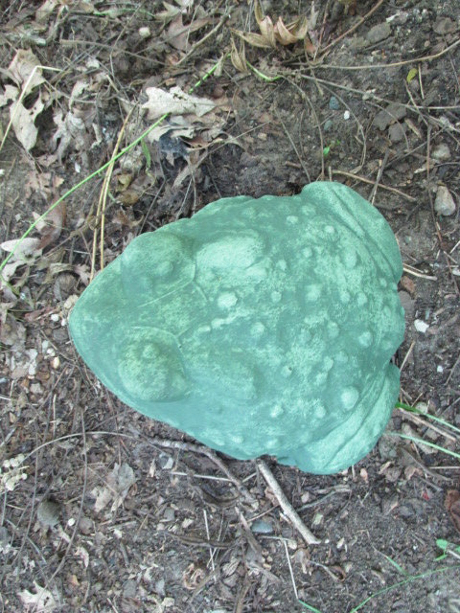 3 1/2 Tall Cement Wide Mouth Green Frog Garden Concrete - Etsy