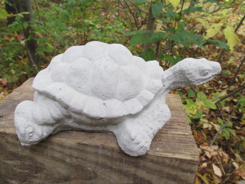 8 Cement Turtle Garden Art Statue Concrete Lawn | Etsy