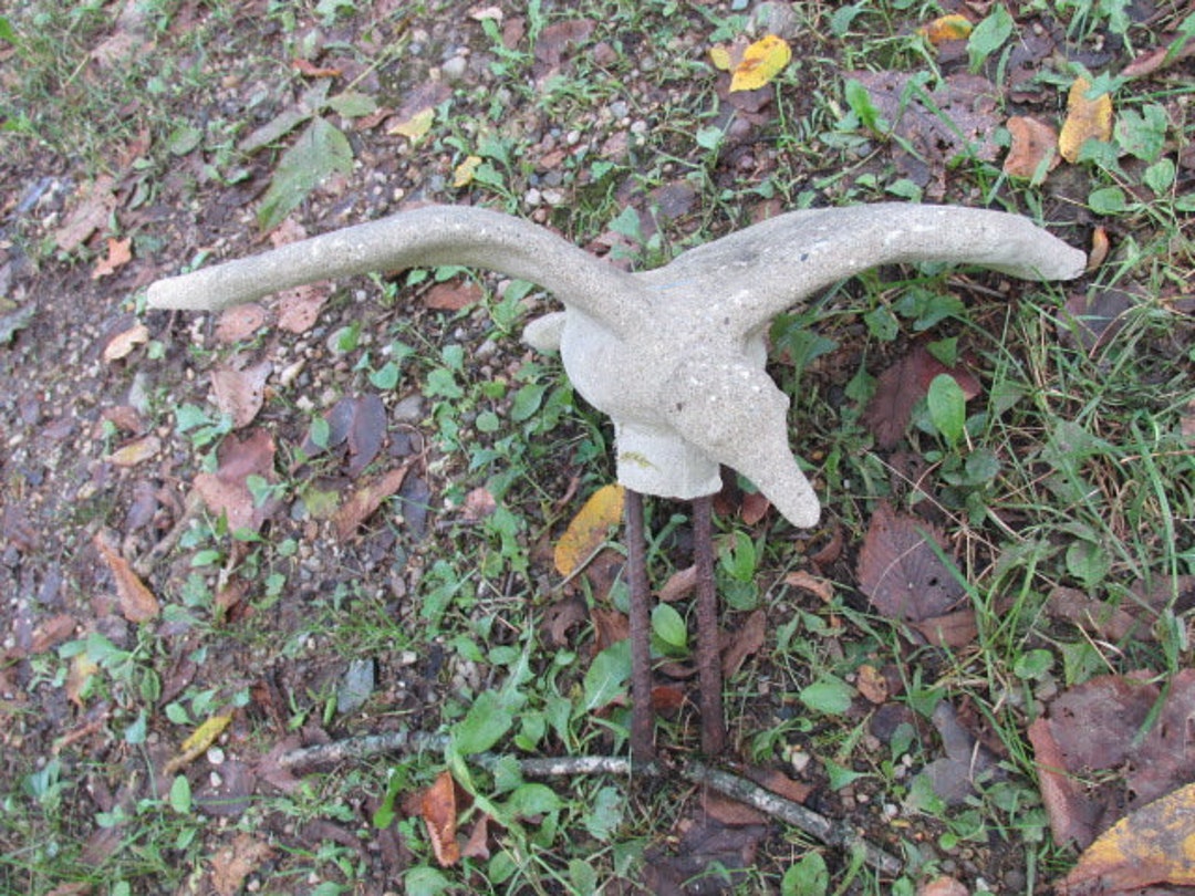 Large Antique 18" Cement Seagull Bird Weathered Concrete Garden Art ...