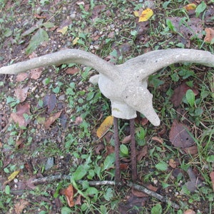 Large Antique 18" Cement Seagull Bird Weathered Concrete Garden Art ...