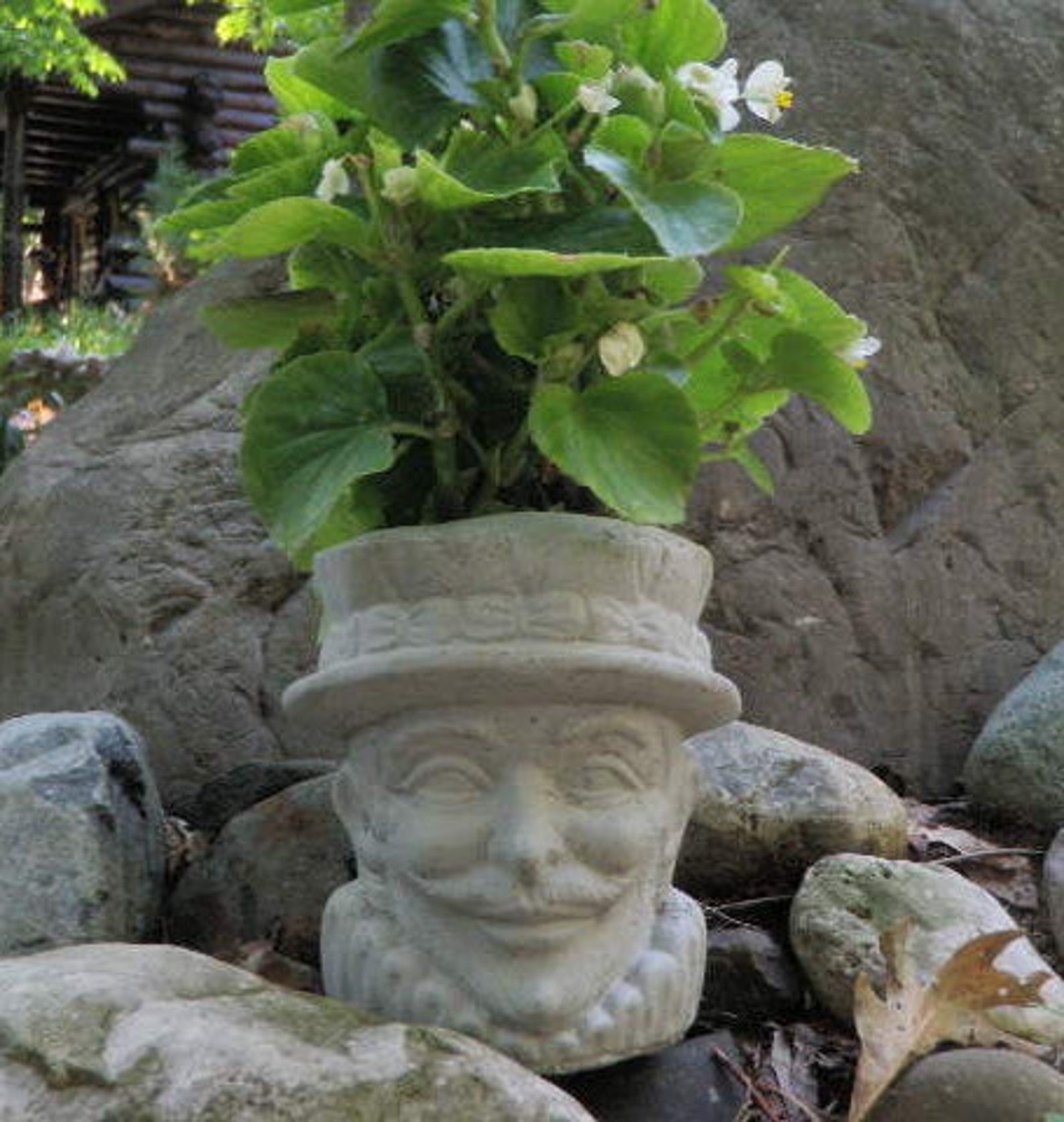 6" Tall Cement Gentleman Man Head Planter Garden Art Concrete Statue ...