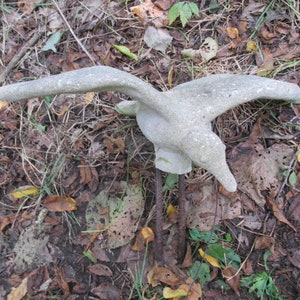 Large Antique 18" Cement Seagull Bird Weathered Concrete Garden Art ...