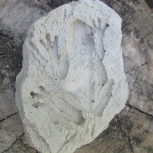 4 1/2" Long Cement Fossil Set of 3 Garden Concrete Statue Dragonfly ...