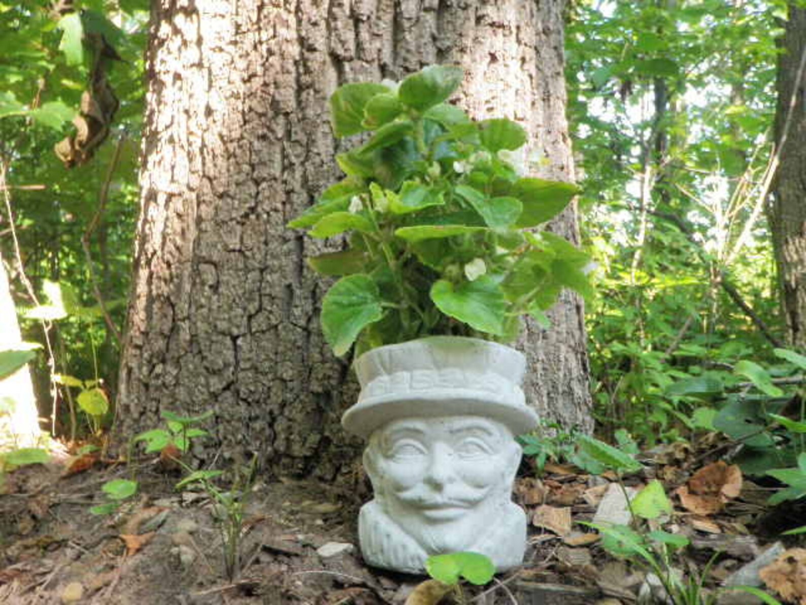 6" Tall Cement Gentleman Man Head Planter Garden Art Concrete Statue ...